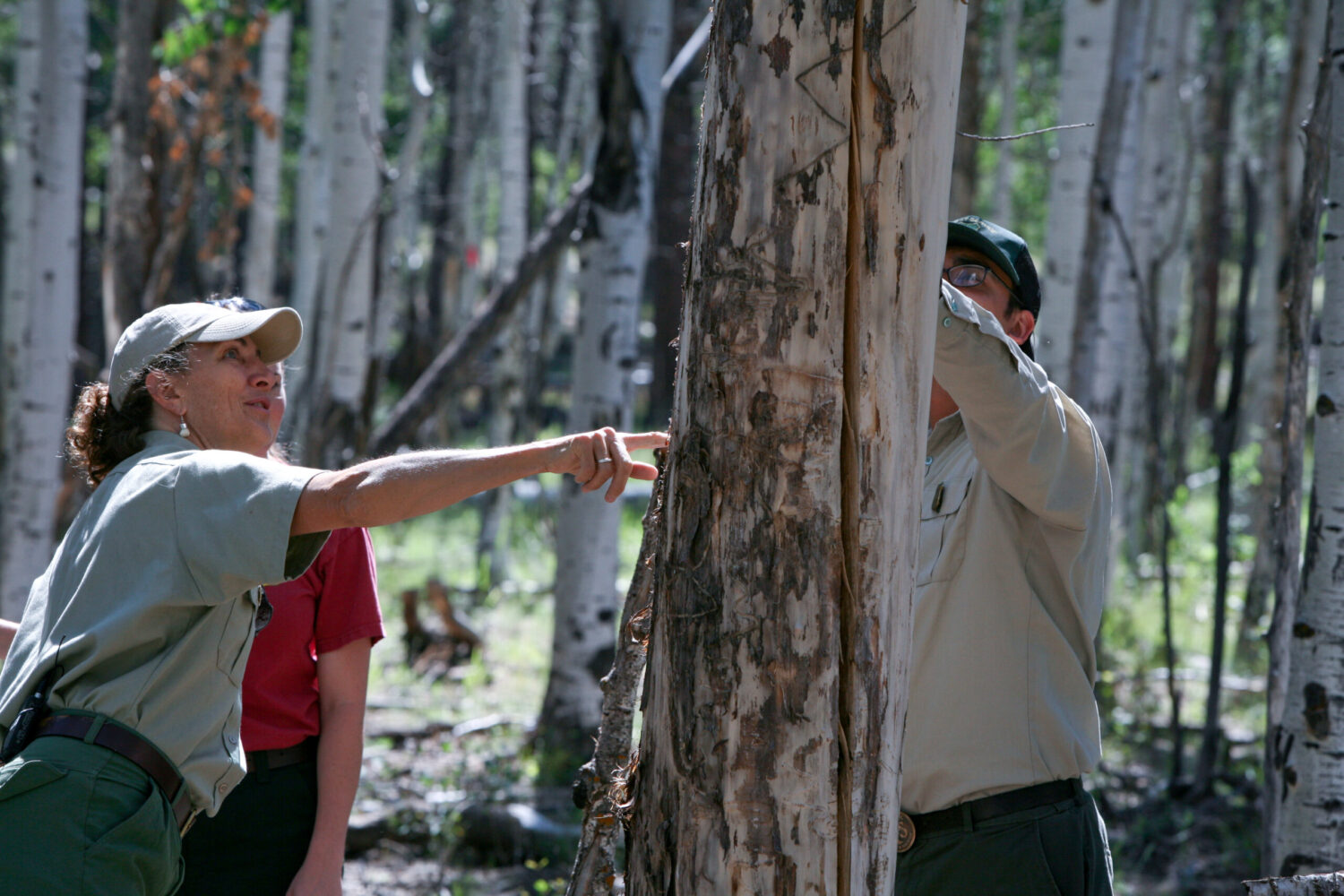 Field Notes - Ecological Restoration Institute